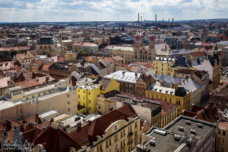 Pilsen: Eine Stadt erobert die Bierwelt