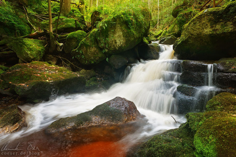 Ein Herbsttag in der Ysperklamm - Reiseblog von Christian Öser