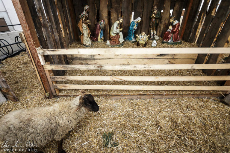 Kurztrip in das weihnachtliche Sopron - Reiseblog von Christian Öser
